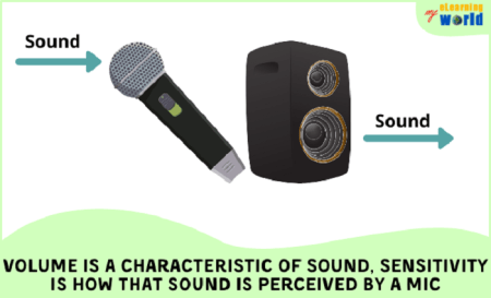 Complete Guide: How To Stop Mic Echo - Ultimate Solutions And Pro Tips